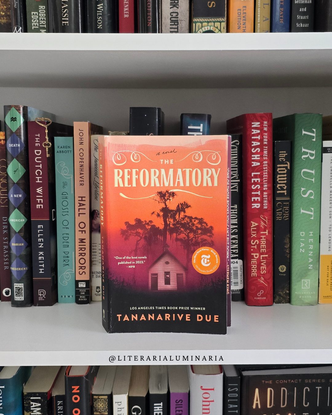 The Reformatory Book Review - Literaria Luminaria